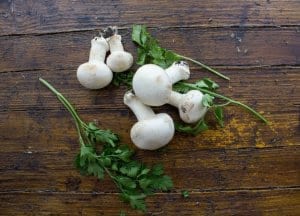 Mushroom Cream Cheese Spread Recipe - An Italian in my Kitchen