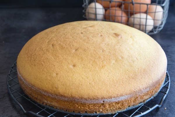 Italian Sponge Cake - Pan di Spagna - An Italian in my Kitchen