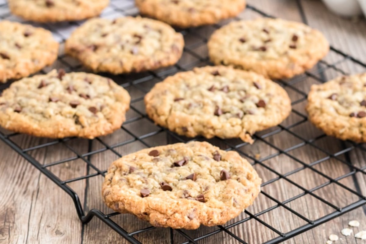 The Best Oatmeal Chocolate Chip Cookies - An Italian in my Kitchen