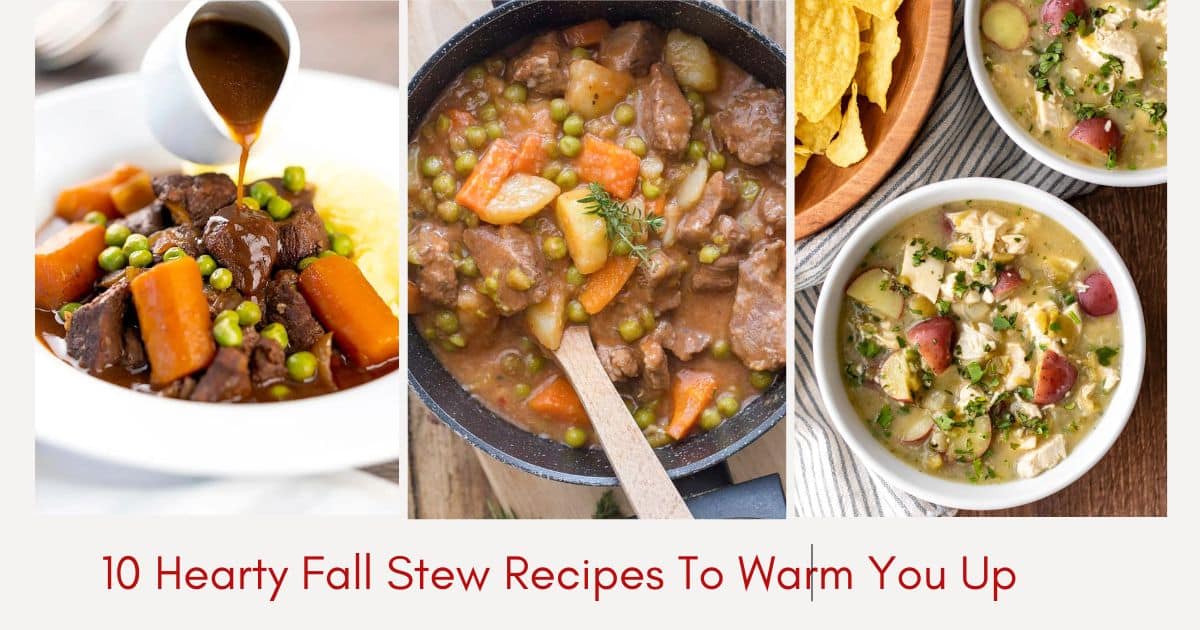 Cozy Comforts - 10 Hearty Fall Stews To Warm You Up Recipe - An Italian ...