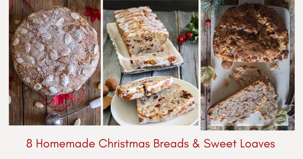 8 Homemade Christmas Breads and Sweet Loaves Recipe - An Italian in my ...